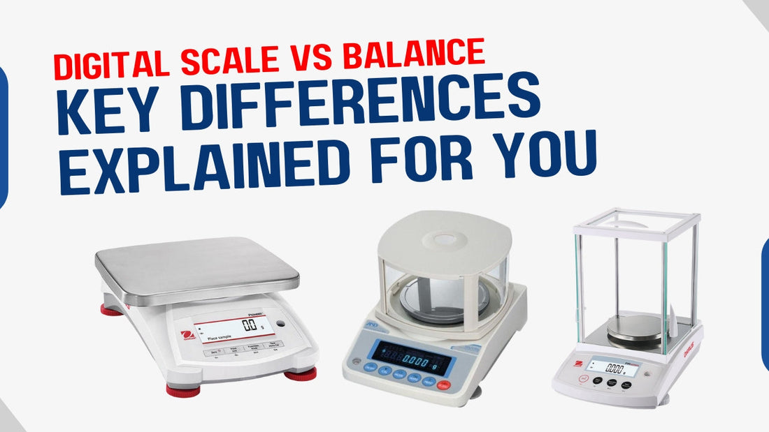 Digital Scale vs Balance: Key Differences Explained for You – San Diego ...